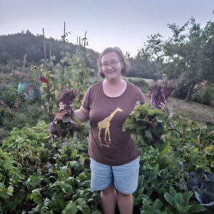 Companion planting with beetroot: Good neighbors, bad neighbors